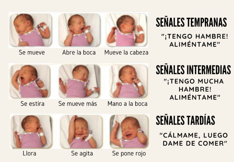 Señales de hambre en el bebé – Nerea Pediatra
